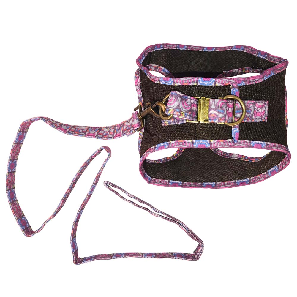 Lux & Bones Harness & Leash Set - Confetti